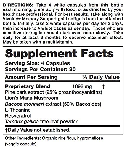 natural memory enhancement pills