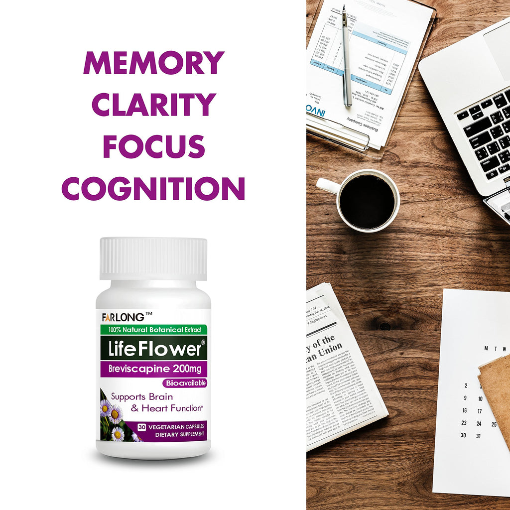 natural memory enhancement supplements