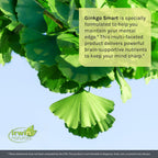Natural memory enhancement with Ginkgo