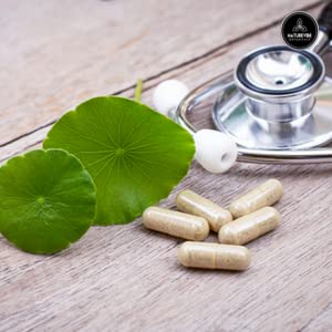 Natural memory enhancement with Gotu Kola capsules