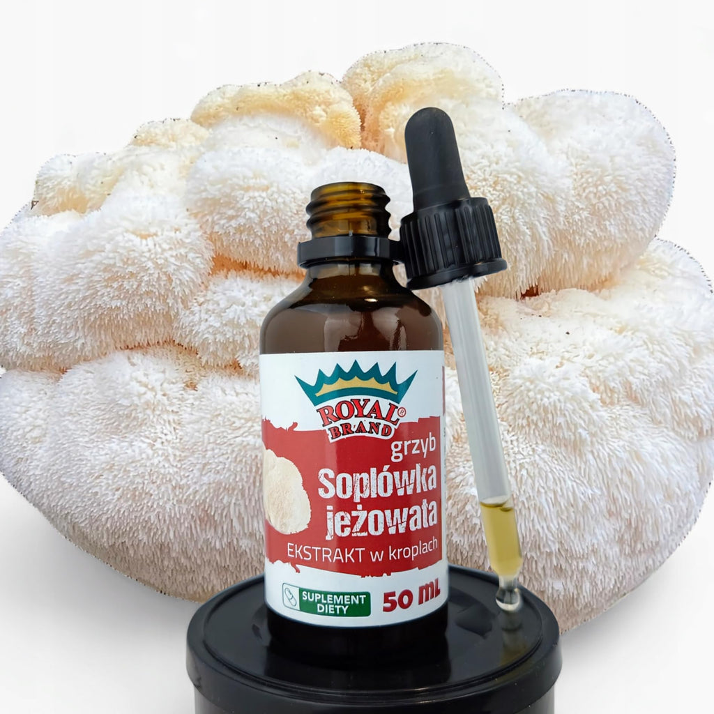 natural memory enhancement with Lion's Mane