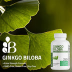 natural memory support ginkgo biloba