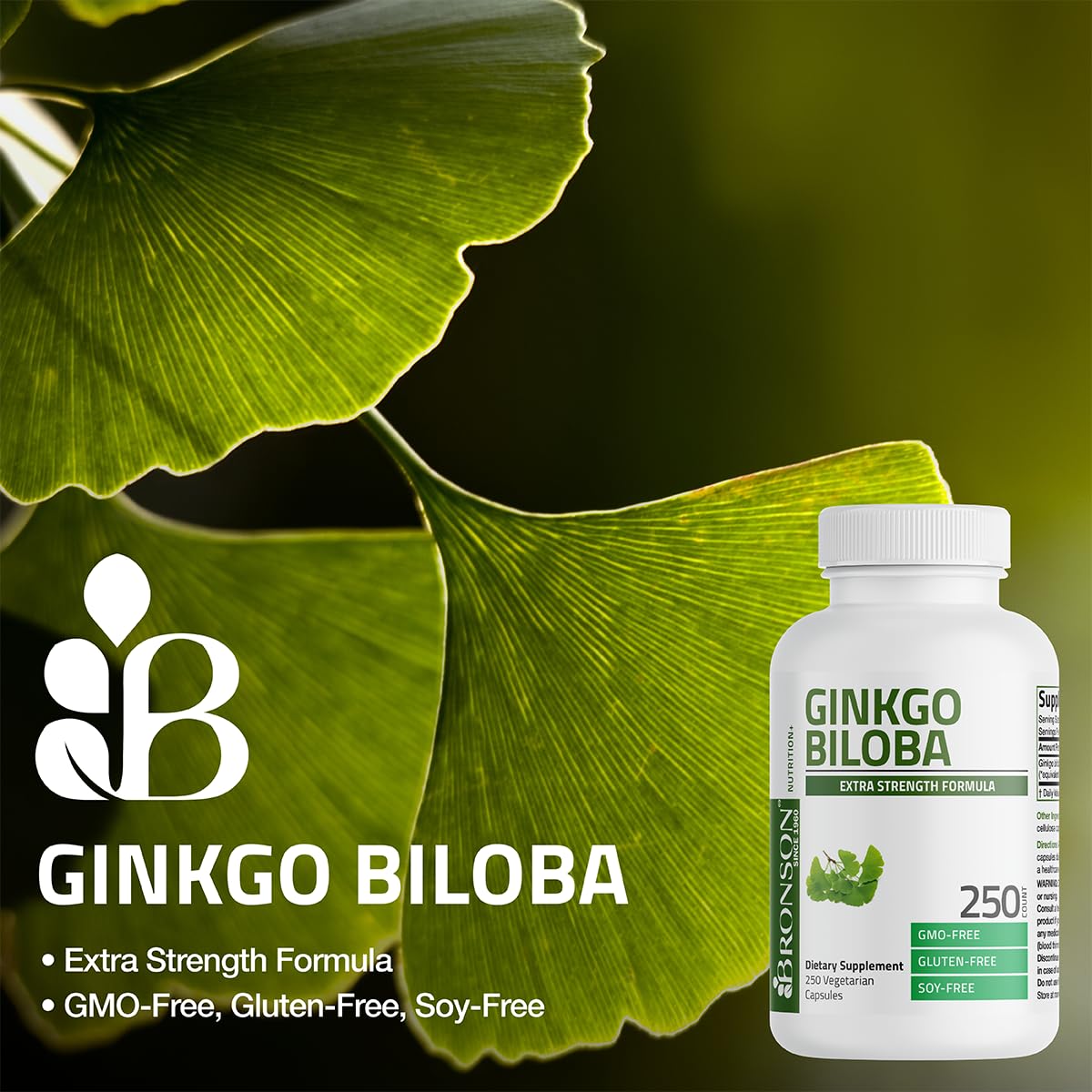 natural memory support ginkgo biloba