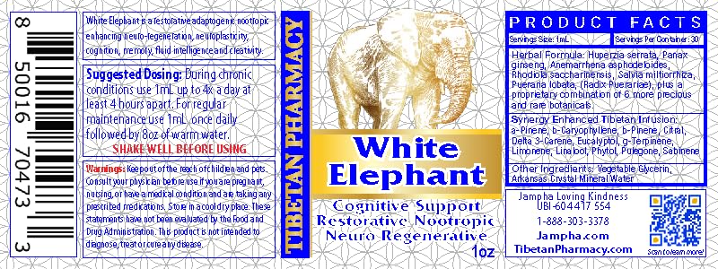 natural memory support supplement