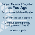 natural memory support supplements