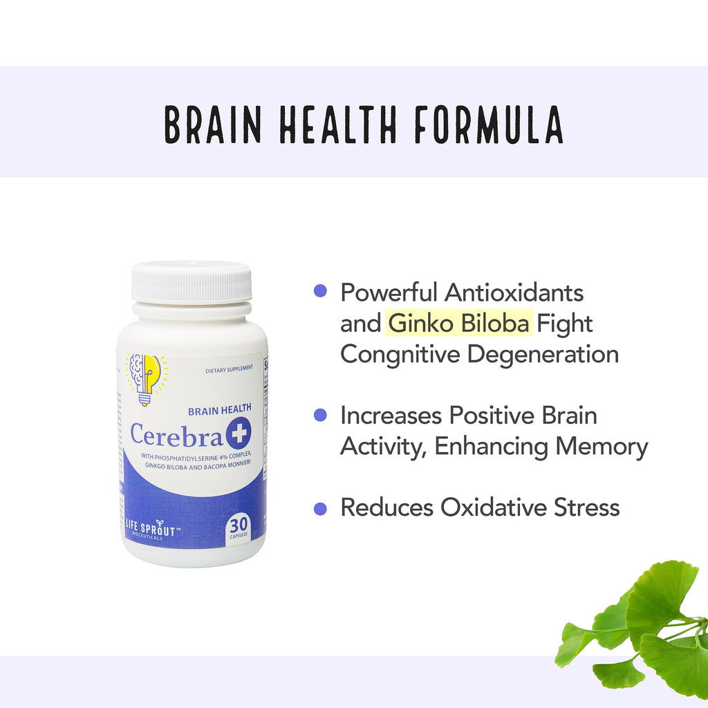 natural memory support with ginkgo biloba