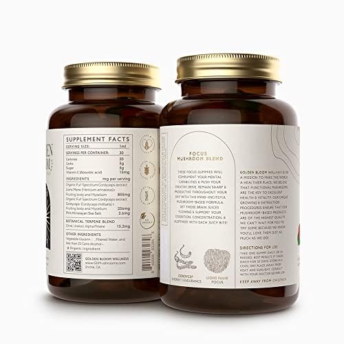 Natural memory support with mushrooms