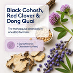 natural menopause relief supplements