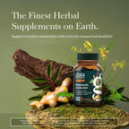 natural metabolic booster with astragalus