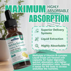 Natural Methylated B Complex supplement