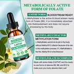 Natural methylfolate for energy support