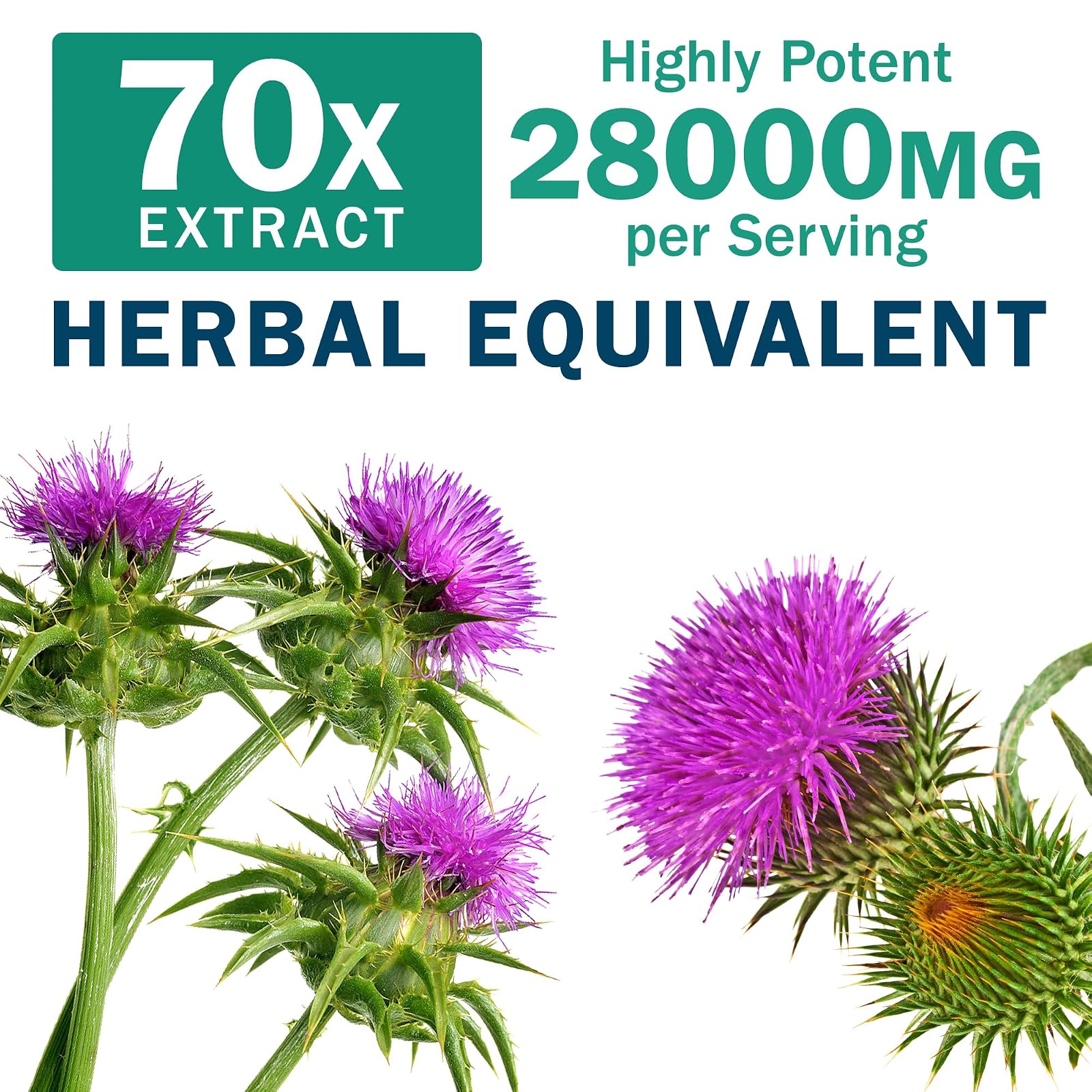 natural milk thistle for liver support