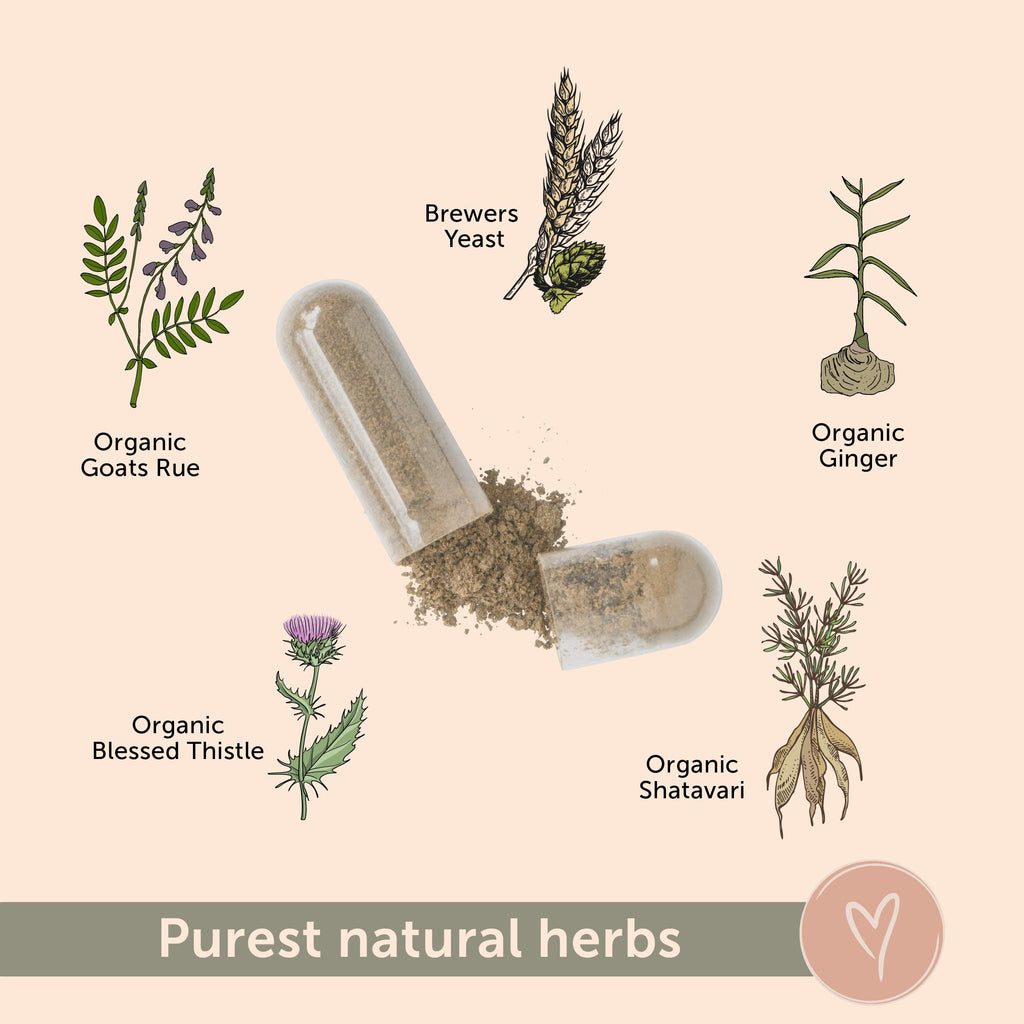 natural milk thistle for liver support