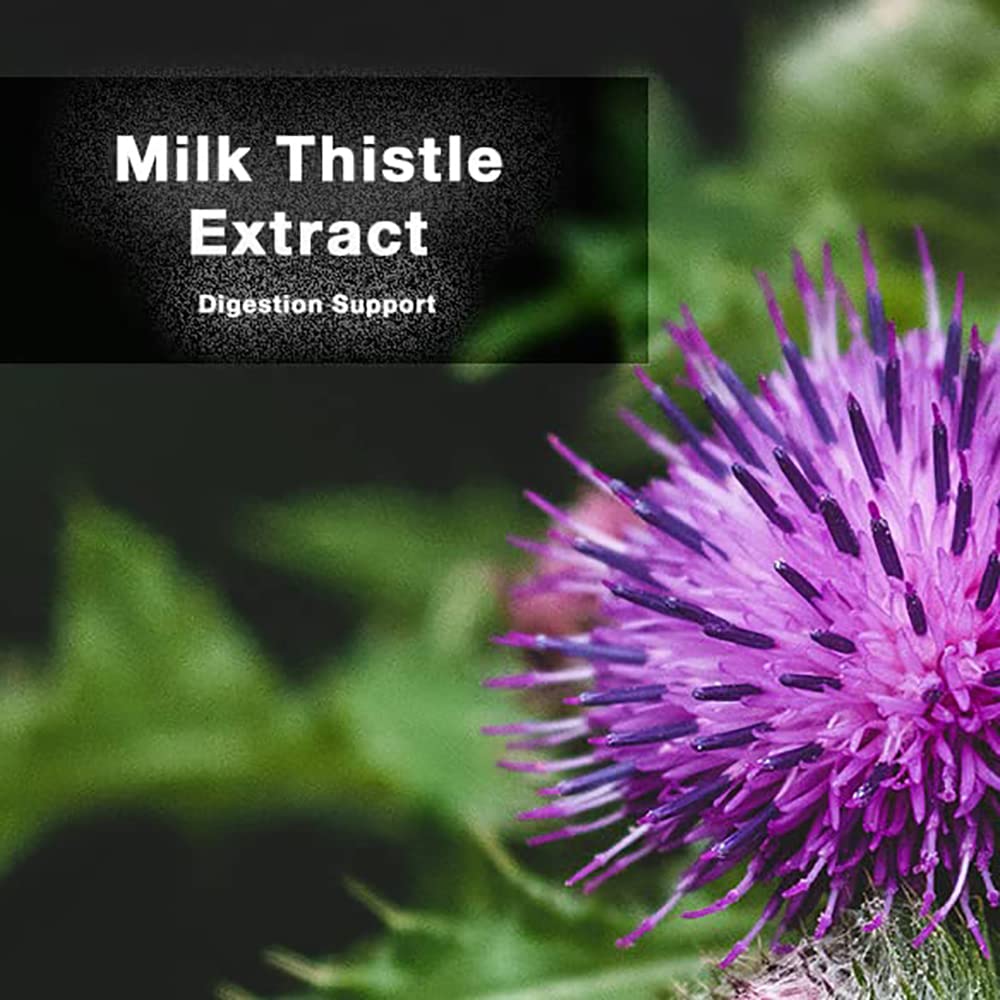 natural milk thistle for wellness