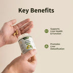 natural milk thistle silymarin extract