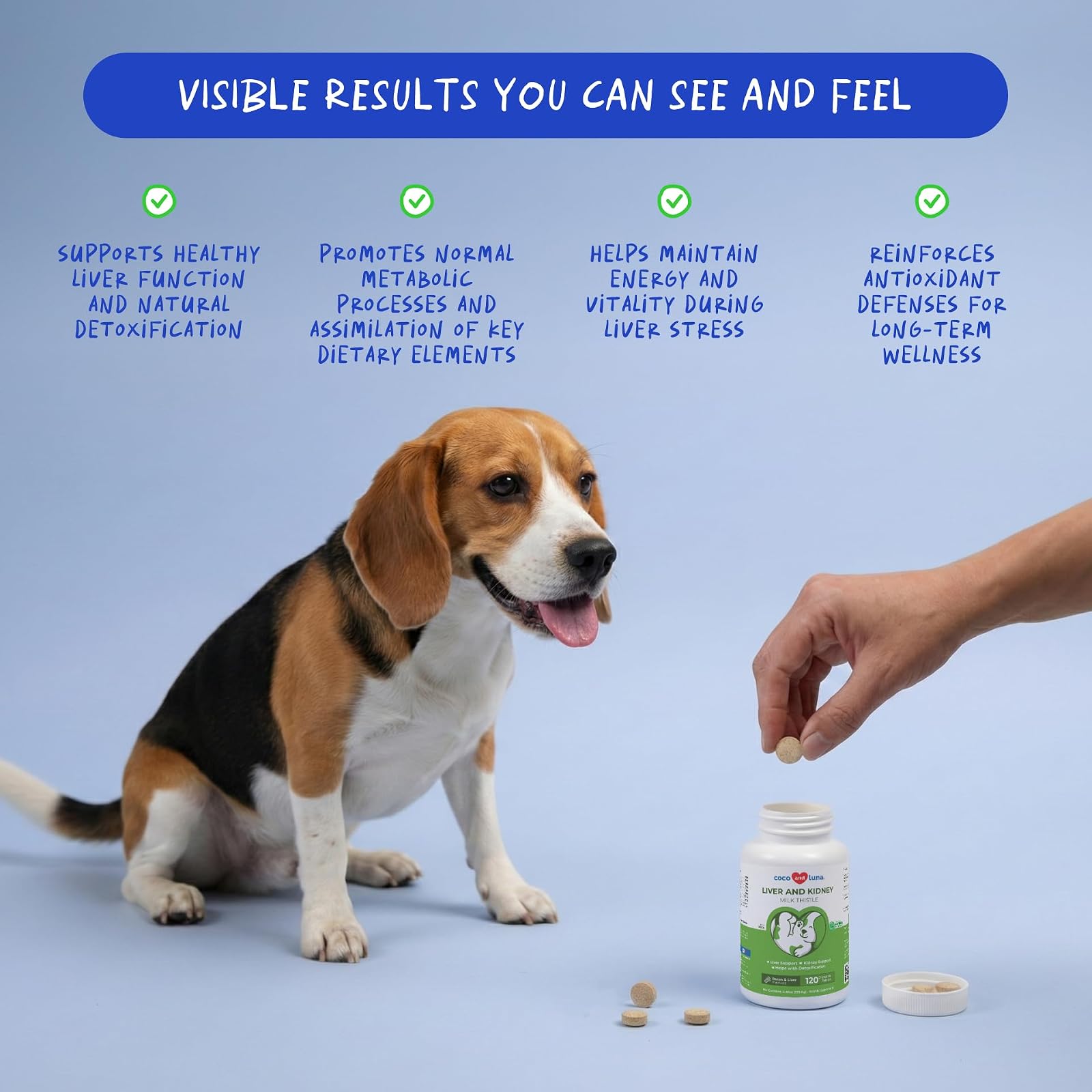 natural milk thistle supplement for pets