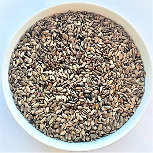 natural milk thistle supplement for wellness