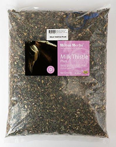 natural milk thistle with choline