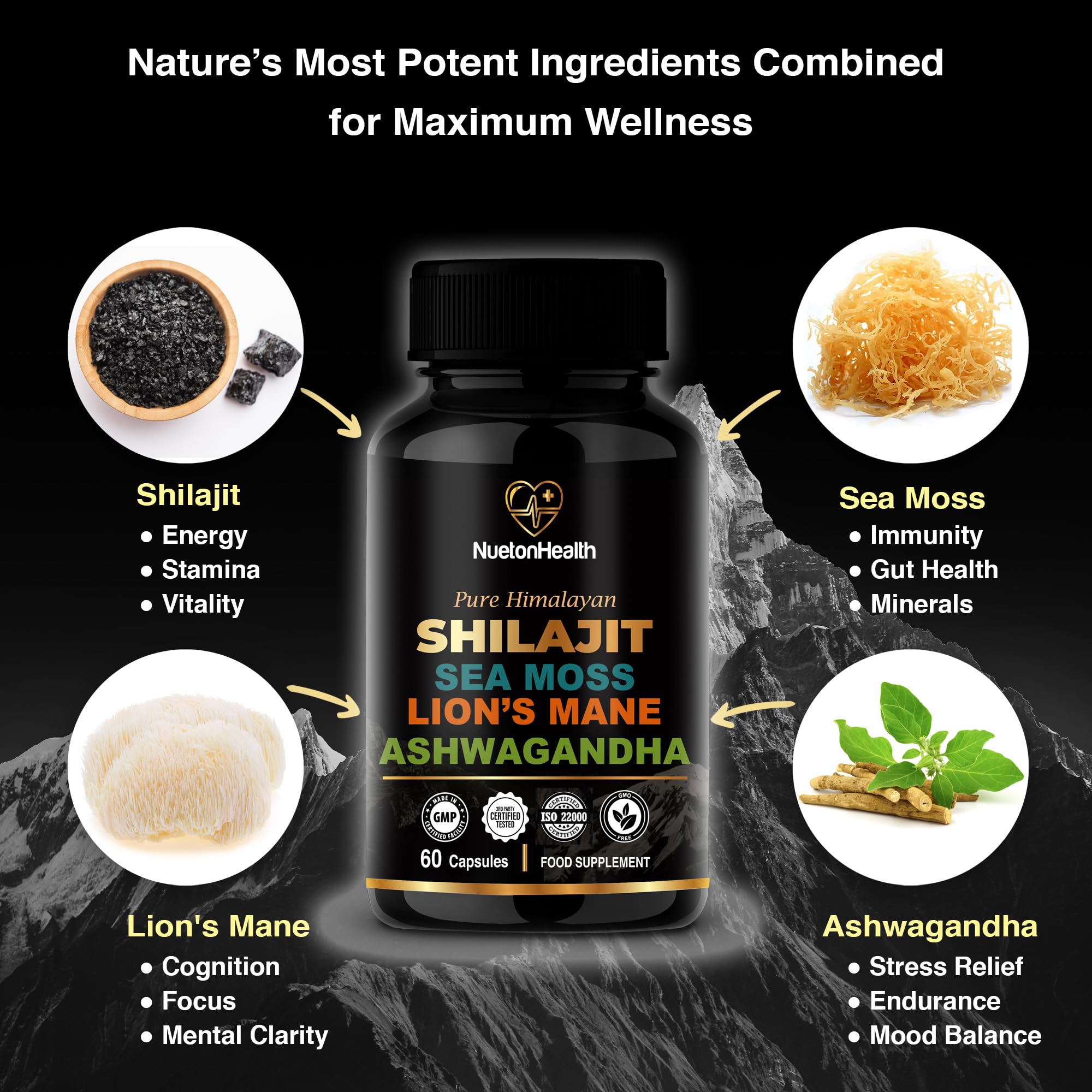 natural mind enhancement with shilajit