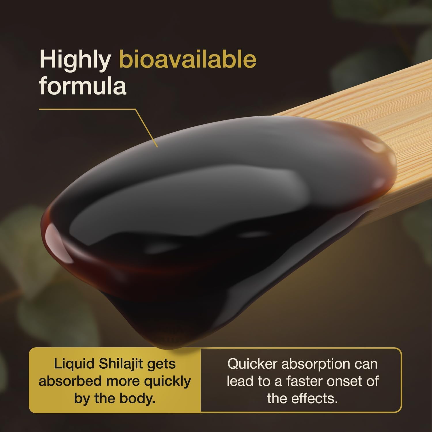 natural mineral supplement shilajit