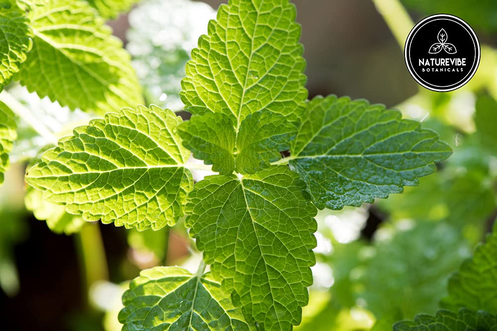 natural mineral supplements for wellness