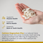 natural mineral support for bones