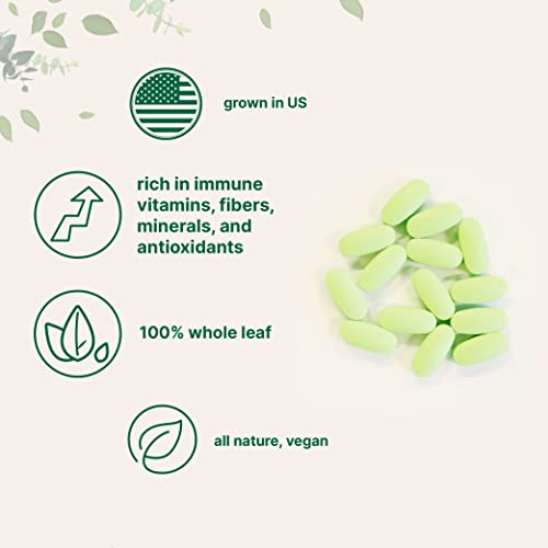 natural minerals for daily wellness