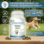 natural minerals for dog vitality