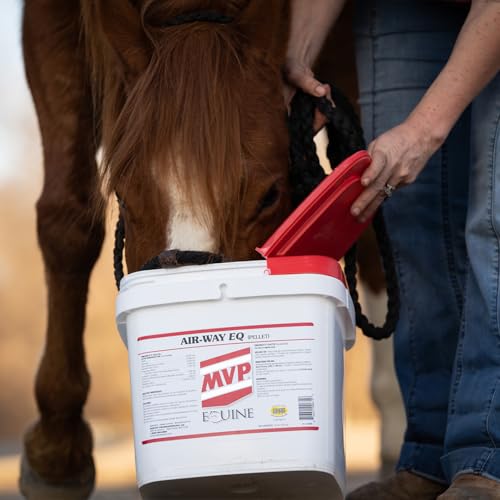natural minerals for horse wellness