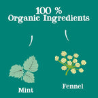 natural mint and fennel infusion