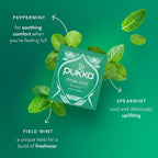 natural mint infusion for digestion