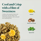 Natural mint zest flavour herbal tea