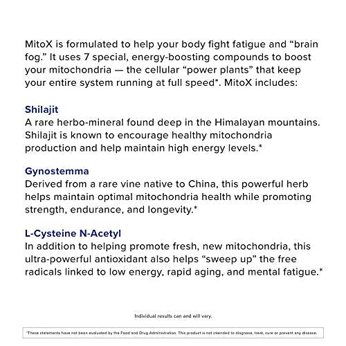 natural mitochondrial function support