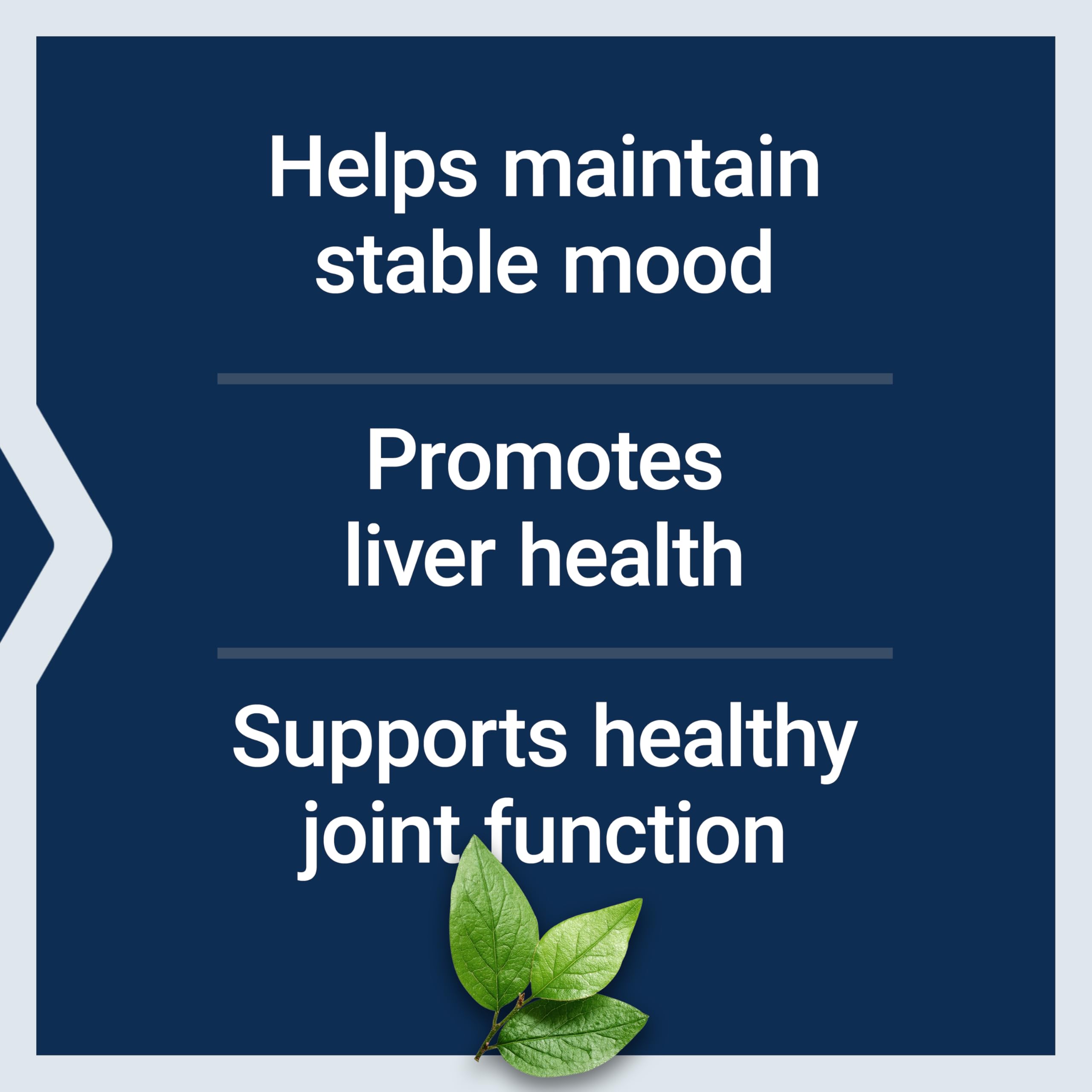natural mood booster for wellness