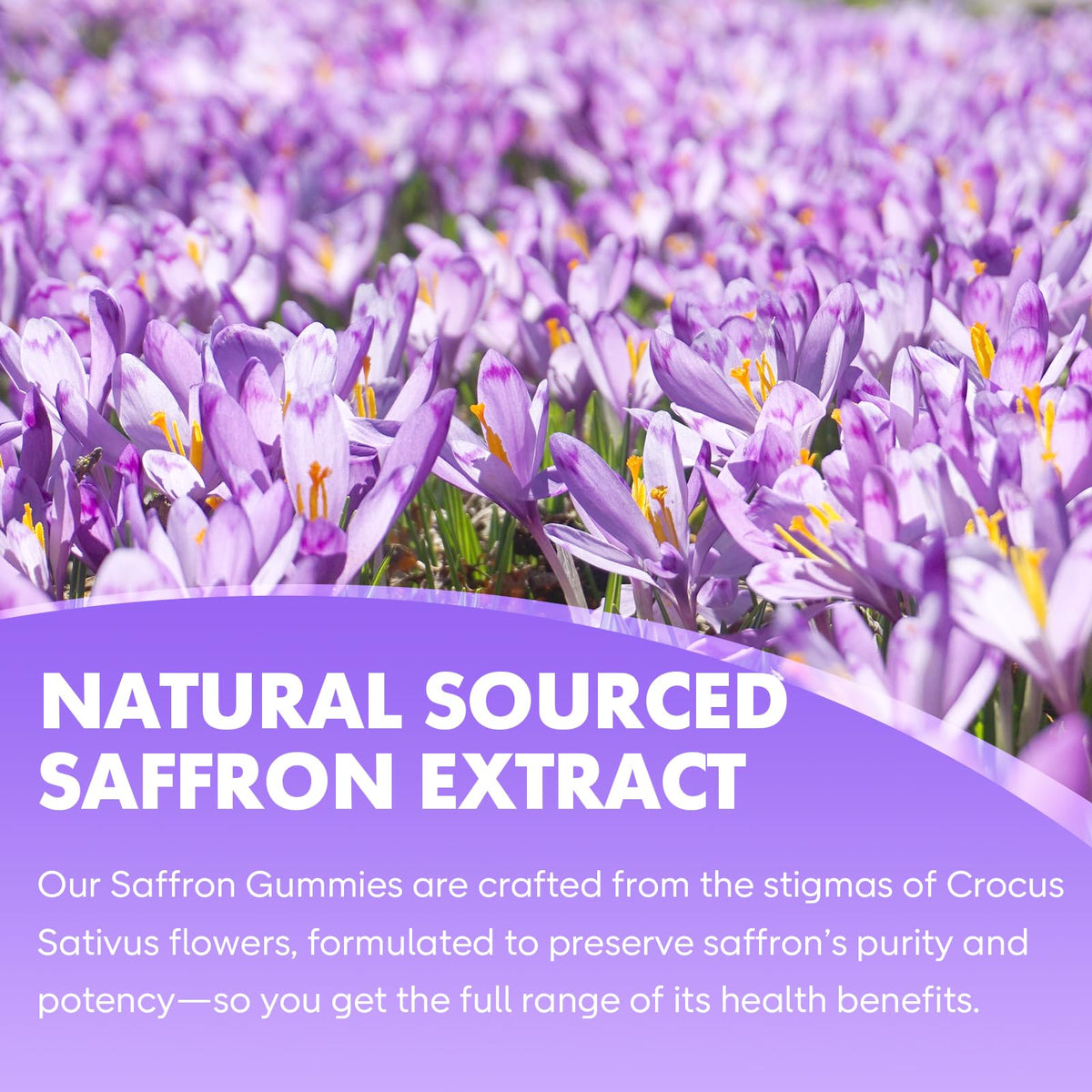 Natural mood booster saffron gummies