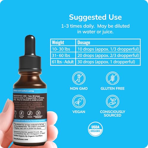 natural mood booster with lion's mane