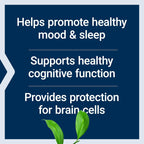 natural mood support L-Phenylalanine