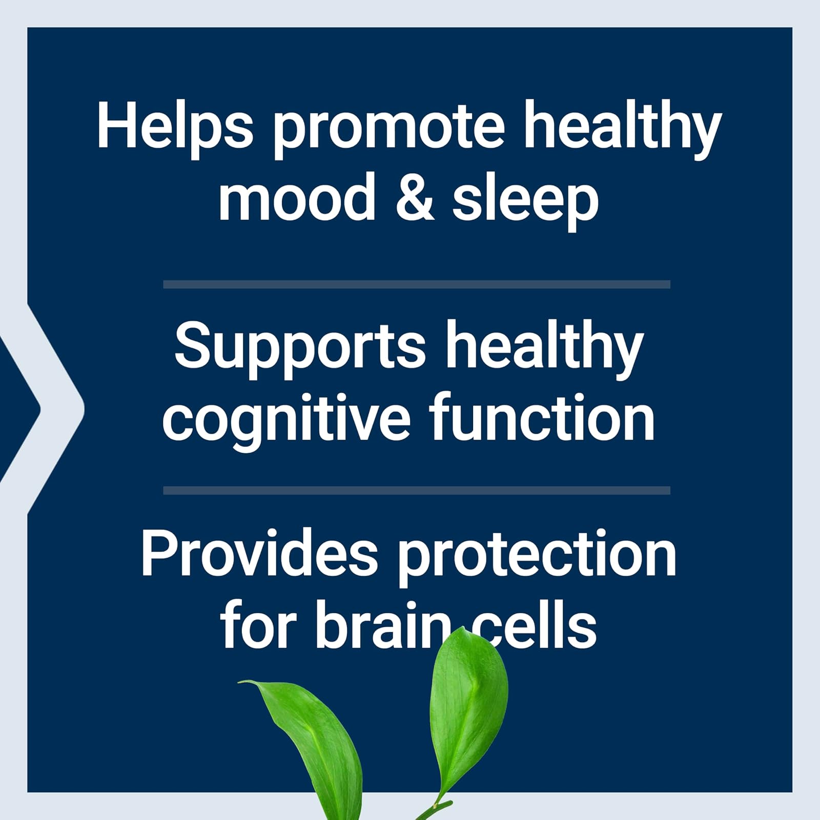 natural mood support L-Phenylalanine