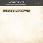 natural mood support St John's Wort