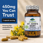 natural mood support St. John's Wort
