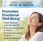natural mood support St. John's Wort
