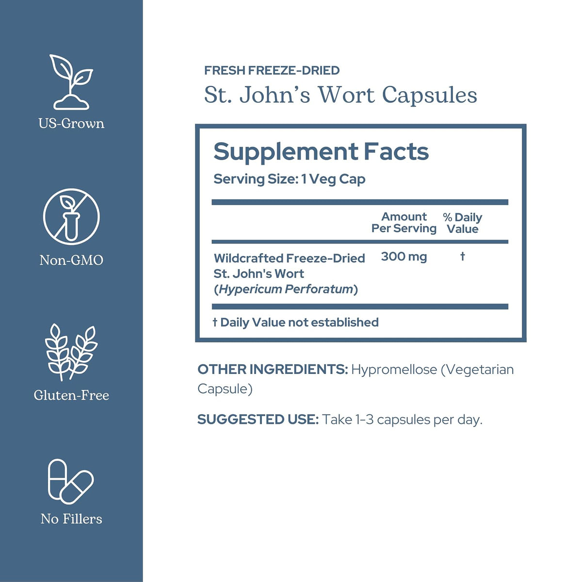 natural mood support St. John's Wort