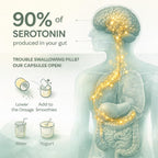 natural mood support with probiotics