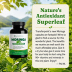 Natural Moringa capsules for wellness
