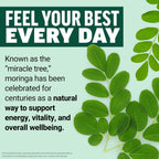 Natural Moringa chews for immune support