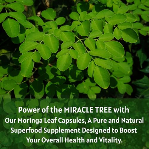 natural moringa for better digestion