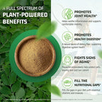 Natural Moringa for better digestion