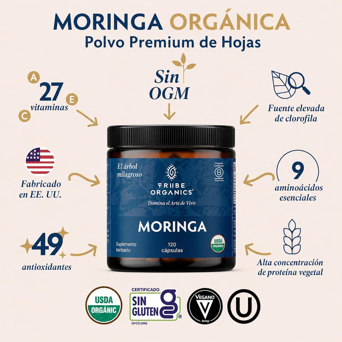 natural moringa for immune support