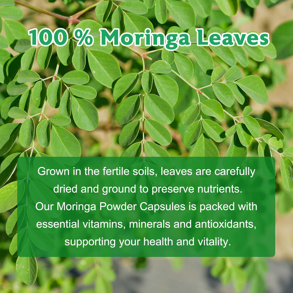natural moringa for immune support
