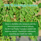 natural moringa for immune support